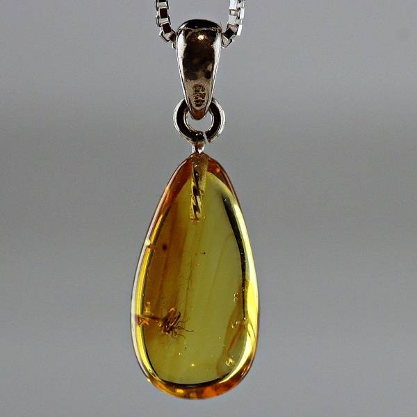 Rav og kopal med insekter - Naturens Mangfold AS