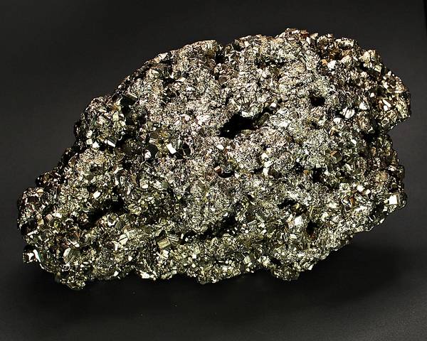 Velkommen til Naturens Mangfold sin nettbutikk!